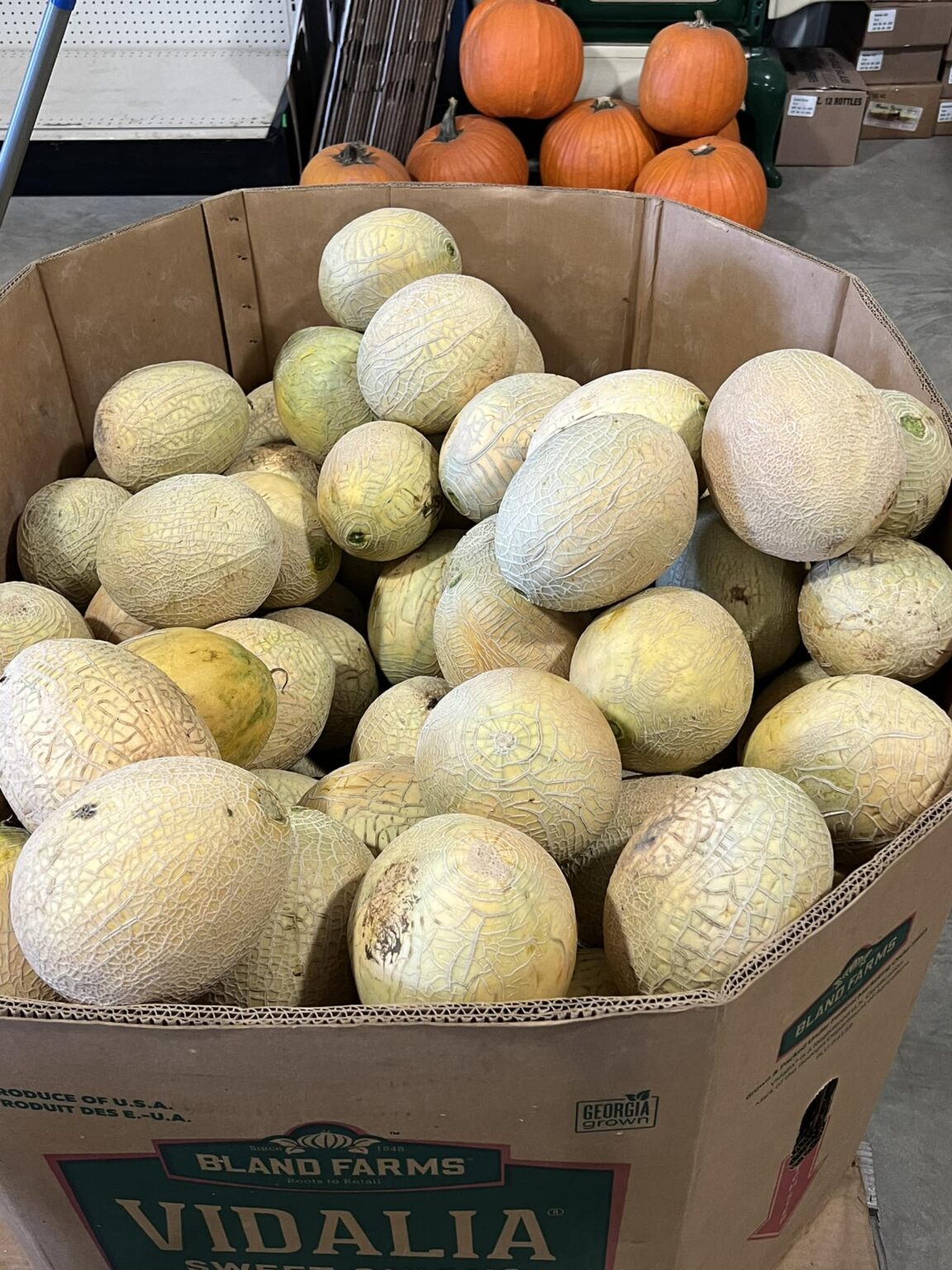 Our Produce – Moore Farms Manor