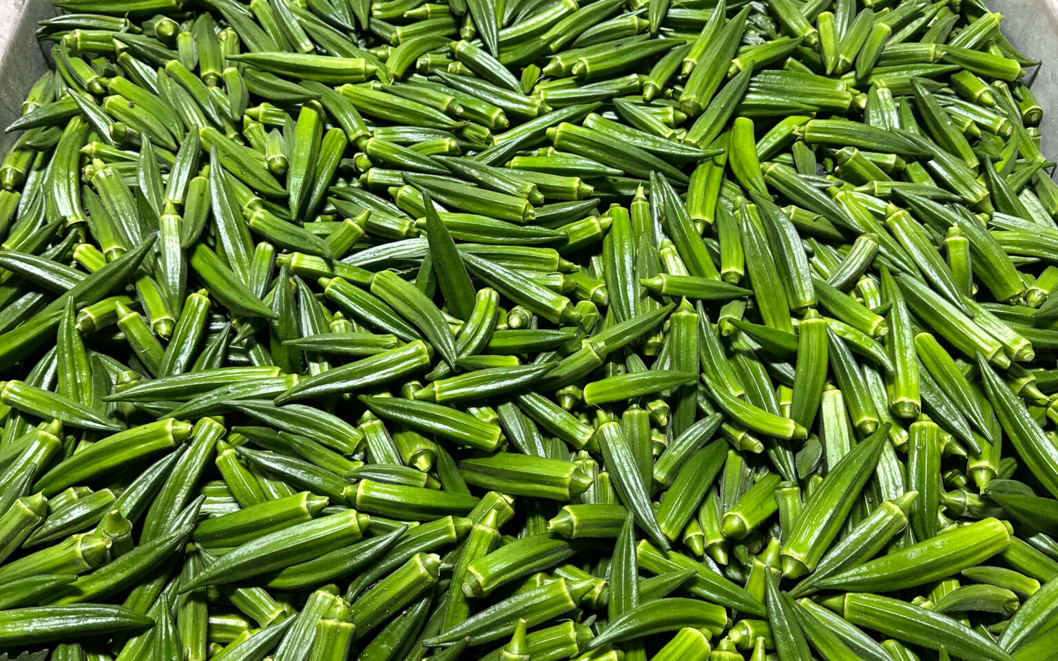 Our Produce – Moore Farms Manor