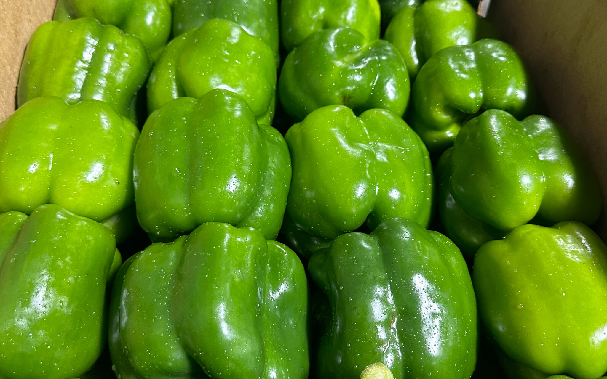 Our Produce – Moore Farms Manor